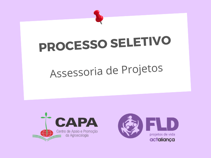 Programa CAPA abre processo seletivo de Assessoria de Projetos para ...